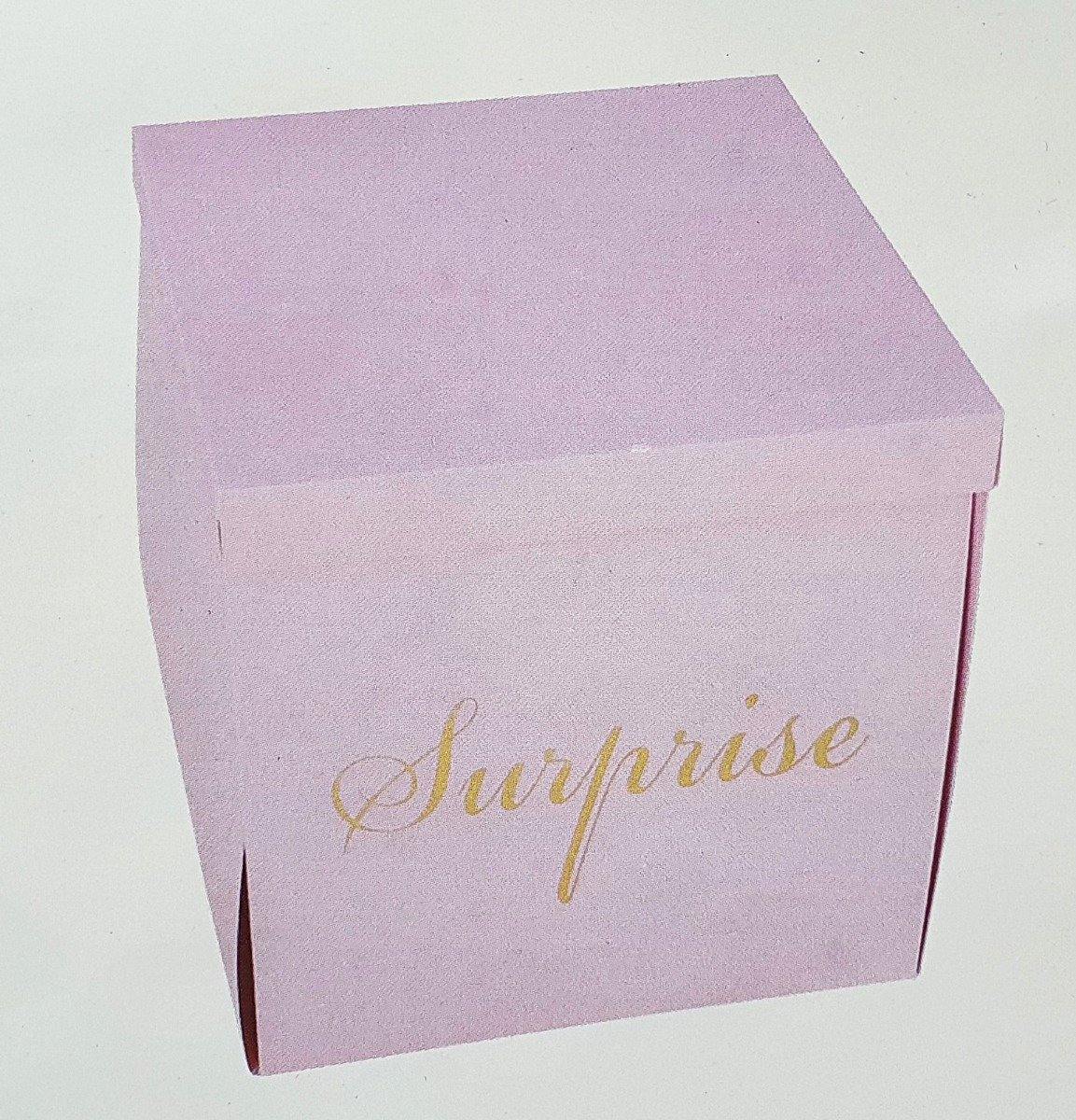 Surprise Boxes – The Base Warehouse