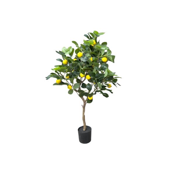 Green Lemon Tree - 90cm | The Base Warehouse