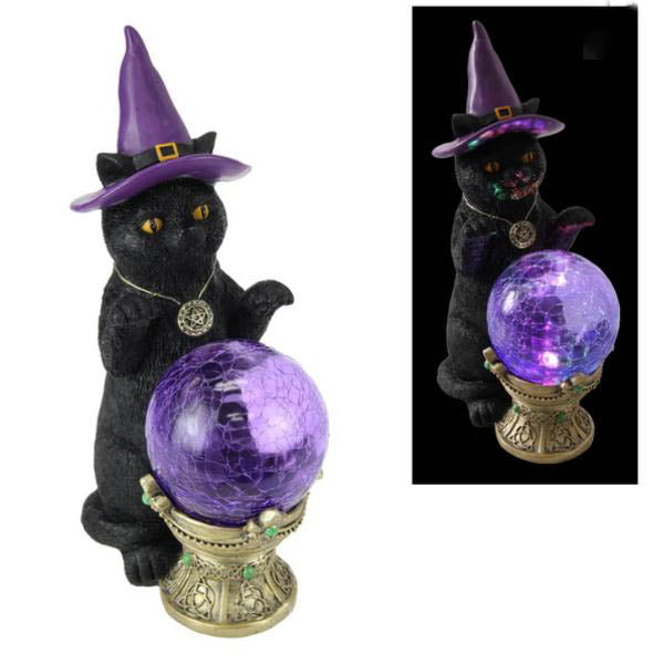 Black Apprentice Cat - 31cm | The Base Warehouse
