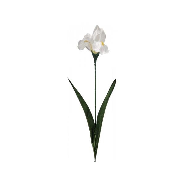 White Silk Iris Flower - 43cm x 60cm x 11cm | The Base Warehouse