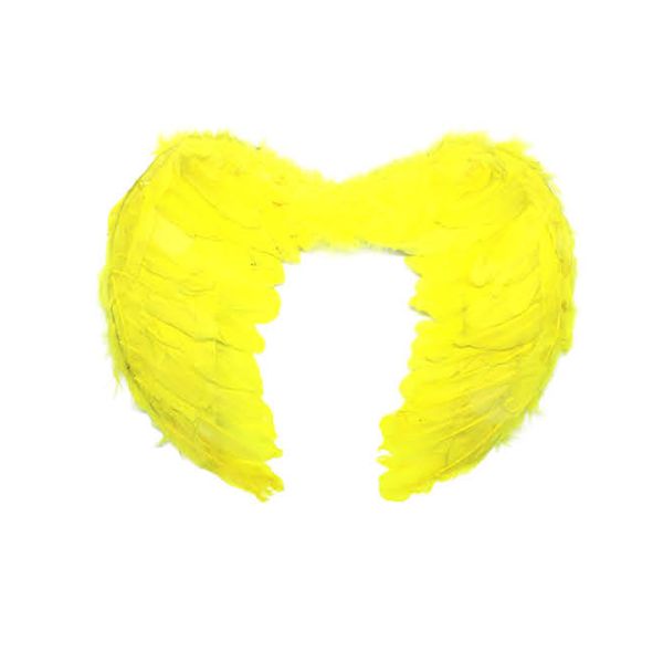 Small Yellow Angel Wing | The Base Warehouse