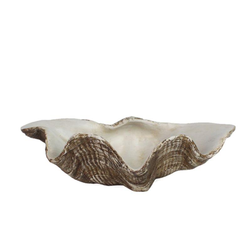 Resin Clamshell - 26cm x 16cm x 8cm | The Base Warehouse