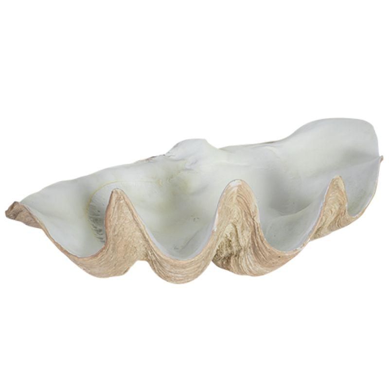 Resin Clamshell - 52cm x 28cm x 19cm | The Base Warehouse