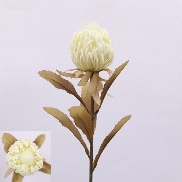 White Protea Stem - 73cm | The Base Warehouse