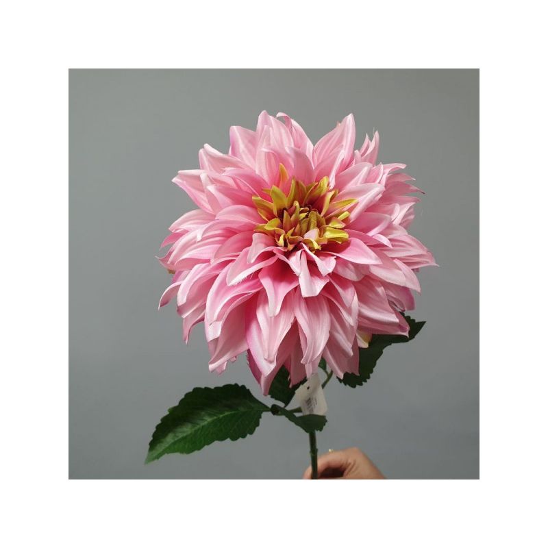 Light Pink Dahila Flower - 70cm x 16cm | The Base Warehouse